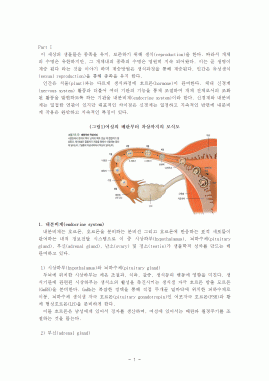 인간의 생식 레포트 자료-1페이지