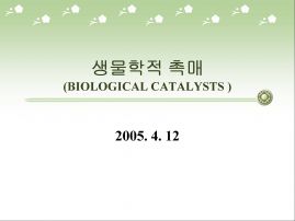 생물학적 촉매(BIOLOGICAL CATALYSTS )-1페이지
