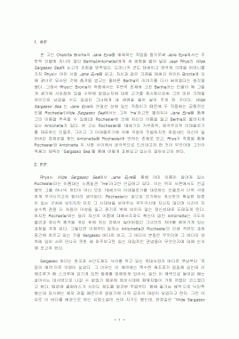 광막한 바다를 읽고 (Wide Sargasso Sea)-1페이지