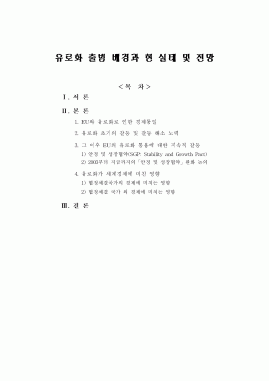 [기업경제]유로화 출범 배경과 현 실태 및 전망-1페이지