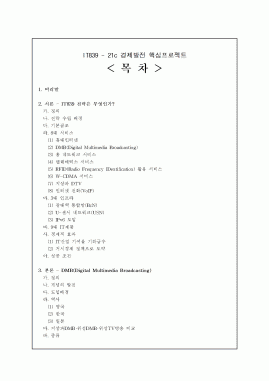 IT839 - 21c 경제발전 핵심프로젝트-1페이지