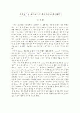 효소첨가한 체다치즈의 숙성촉진과 풍미향상-1페이지