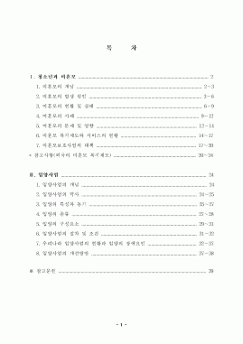 청소년과 미혼모 입양사업에대해-1페이지