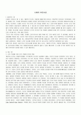 니체의 초인사상-1페이지