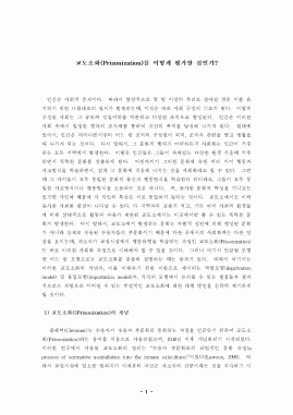 교도소화(Prisonization)에 대한 평가-1페이지