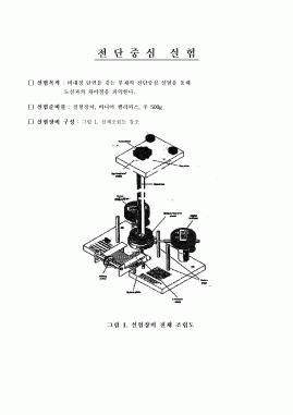 전단중심 실험-1페이지