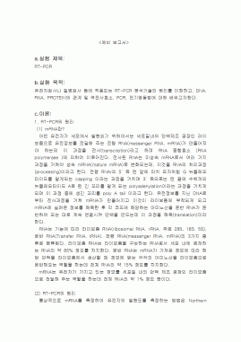 RT-PCR 전기영동-1페이지
