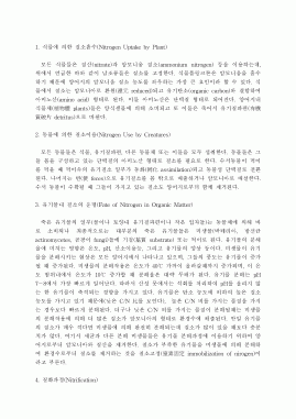 질소순환 레포트 자료-1페이지