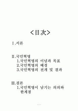 국민혁명 레포트 자료-1페이지