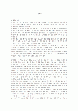 포탈라궁 레포트 자료-1페이지