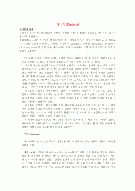유시아강(Pteygota) 파리목(Diptera)-1페이지