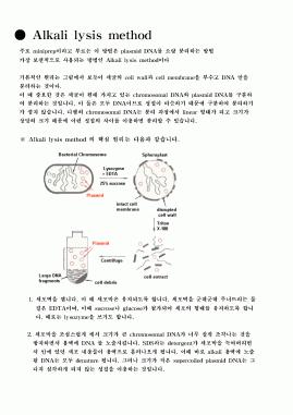 Alkali lysis method , miniprep-1페이지