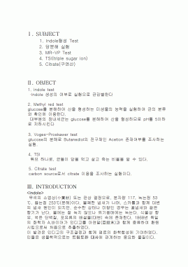 [논문] IMVIC TEST-1페이지
