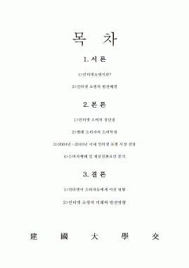 소비문화론-인터넷소비-1페이지