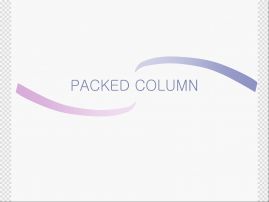 PACKED COLUMN 레포트 자료-1페이지