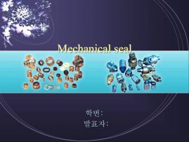 Mechanical seal 레포트 자료-1페이지