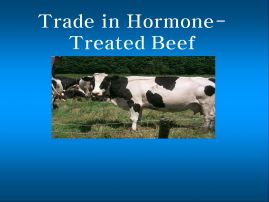 Trade in Hormone-Treated Beef-1페이지