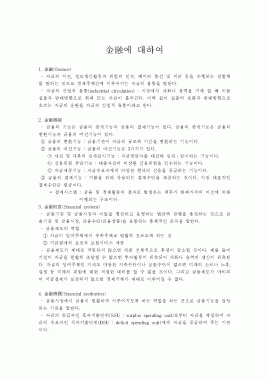 국내 금융에 대하여-1페이지