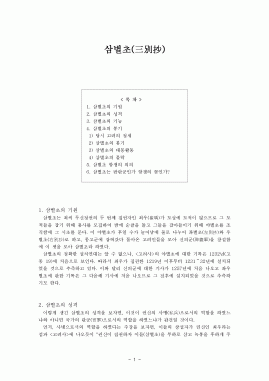 [사범/법학] 삼별초에 대하여-1페이지