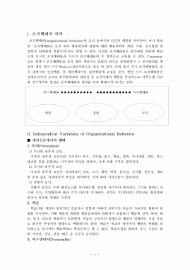 조직행태란 무엇인가-1페이지