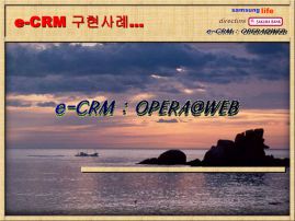 E-CRM 구현사례-1페이지