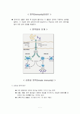 면역의 종류 레포트 자료-1페이지