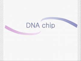 DNA chip 레포트 자료-1페이지