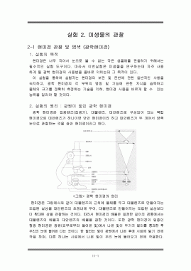 [미생물학 실험]미생물의 현미경 관찰 - 단순, 그람, 매질 염색법에 의한 현미경 관찰 --1페이지