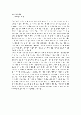 청소녕 이해 레포트 자료-1페이지