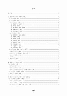 [경영학]한국 중소기업 정보화의 문제점 및 성공요인-1페이지
