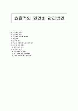 [사회과학] 효율적인 인건비 관리방안-1페이지