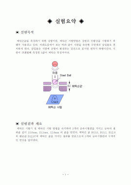 에릭슨 시험 레포트 자료-1페이지