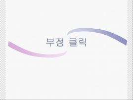 부정 클릭 레포트 자료-1페이지