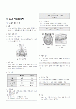 [과외]중학 과학 1-2학기 중간6 호흡과 배설(교사용)-1페이지