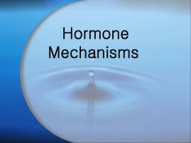 호르몬(Hormone)의 메카니즘에 관한 팀프로젝트//특급//그림 및 기작 풍부//평점 10을 노립니다-1페이지