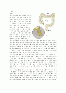 [수술실]appendicitis CASE-1페이지