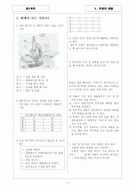 [과외]중학 과학 중1-04 땅에 사는 식물(1) 01-1페이지