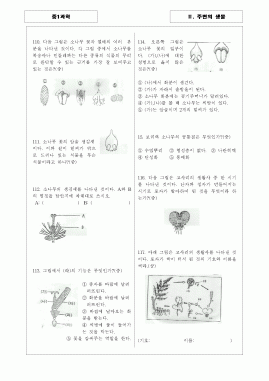 [과외]중학 과학 중1-05 땅에 사는 식물(2) 04-1페이지