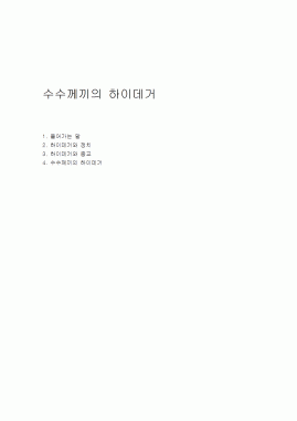 수수께끼의 하이데거-1페이지