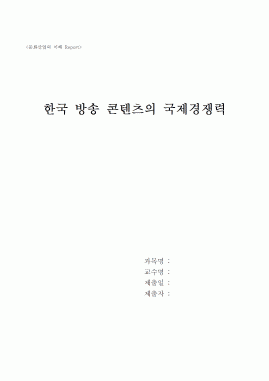한국 영상 컨텐츠의 국제 경쟁력-1페이지