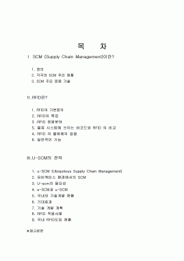 SCM(Supply Chain Management)-1페이지