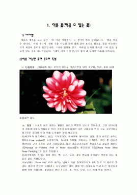 식용 꽃(먹을 수 있는 꽃)-1페이지