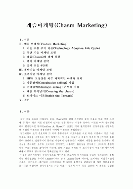 [캐즘마케팅][마케팅][마케팅전략][마케팅모형][캐즘][벤처 마케팅][첨단기술 마케팅][마케팅전략][마케팅모형]캐즘마케팅(Chasm Marketing)(벤처 마케팅, 첨단기술 마케팅 모형, 효과적인 마케팅 전략)-1페이지
