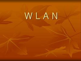 WLAN에 관해 레포트 자료-1페이지