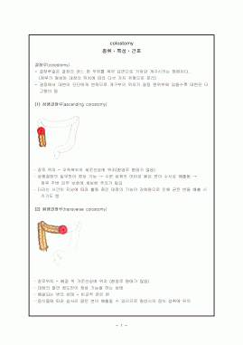결장루술 레포트 자료-1페이지