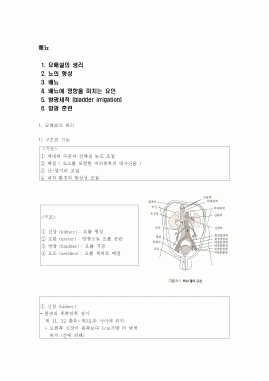 배뇨기전_방광세척_방광훈련-1페이지