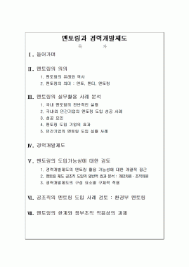 멘토링과 경력개발제도-1페이지