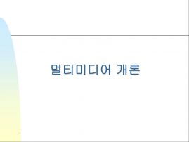 멀티미디어 개론-1페이지