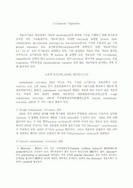 Cytoplasmic Organelles-1페이지