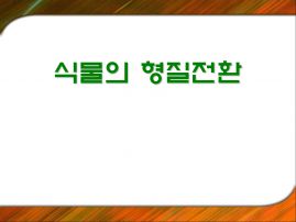 식물의 형질전환-1페이지